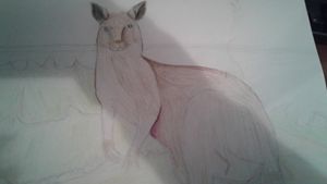 Laura Toohey - Drawings & Illustration