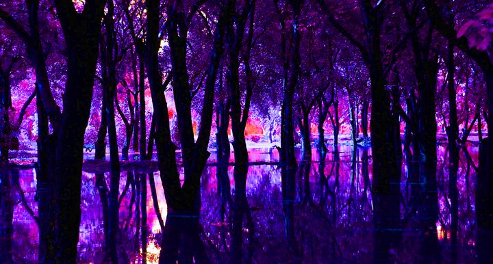 Swamp - HRH Design - Digital Art & AI, Landscapes & Nature, Swamps ...