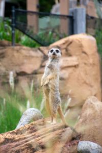 Austin Ulfers - Photography