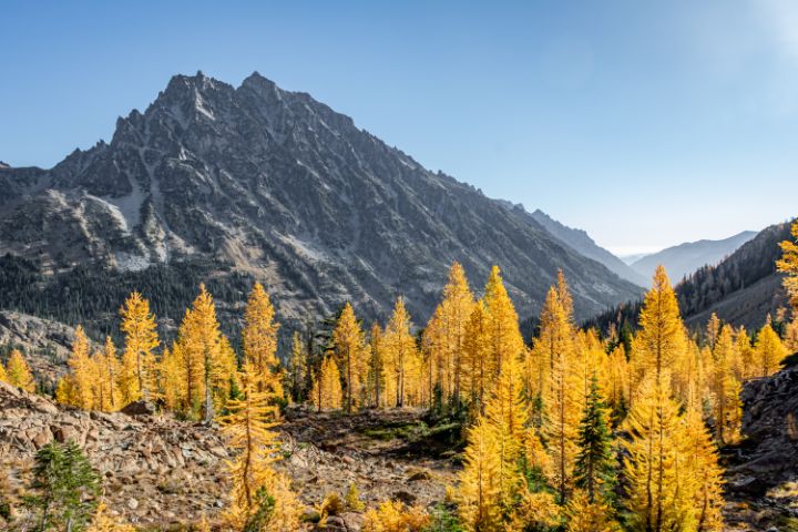Mt. Stuart in Larch Season 4 - Austin Ulfers - Photography, Landscapes ...