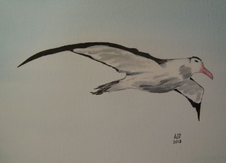 Albatross in Flight (Landscape View) - Falcon Peak Gallery - Paintings ...