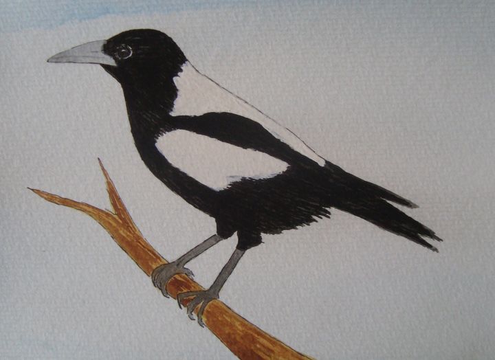 Magpie on a Branch - Falcon Peak Gallery - Paintings & Prints, Animals ...