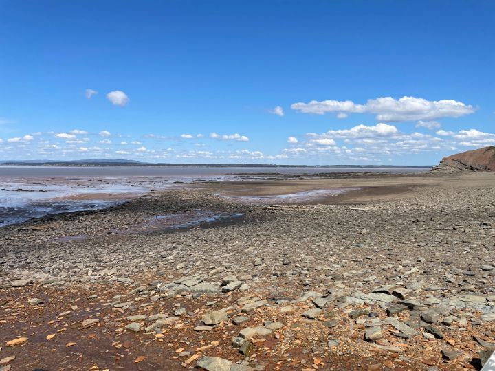 Beach at Joggins Fossil Cliffs - JRobin Whitley - Photography ...