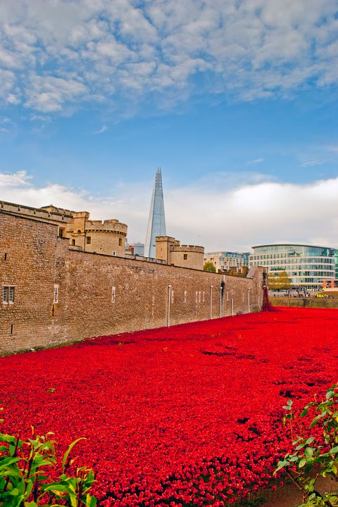 Tower of London Blood Swept Lands - Andy Evans Photos - Photography ...