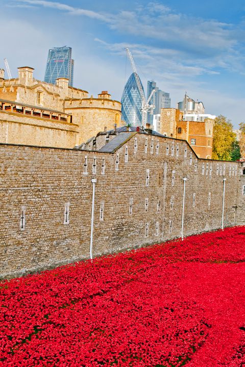 Tower of London poppy Seas of Red - Andy Evans Photos - Photography ...
