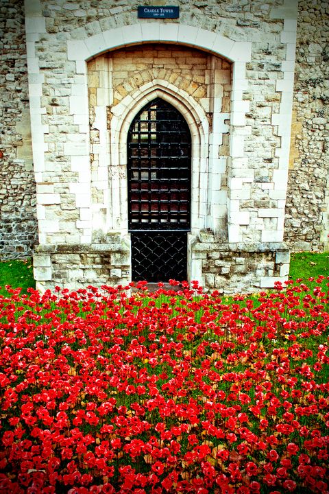 Tower of London Poppy Poppies - Andy Evans Photos - Photography ...