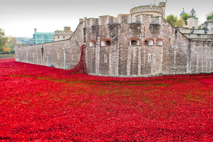 Tower of London Red Poppies - Andy Evans Photos - Photography ...