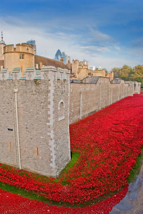 Tower of London poppy poppies - Andy Evans Photos - Photography ...