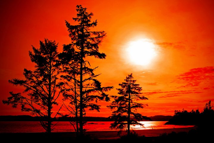 Sunset Long Beach Tofino Canada - Andy Evans Photos - Photography, Landscapes & Nature, Beach ...