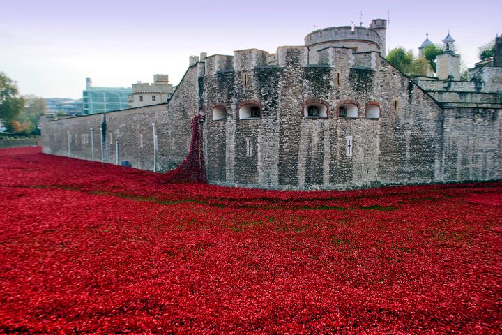 Tower of London Red Poppies - Andy Evans Photos - Photography ...