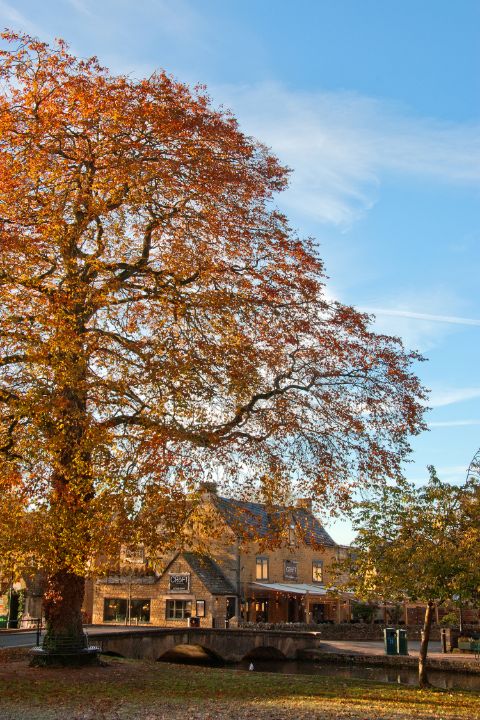 Bourton on the Water Autumn Trees - Andy Evans Photos - Photography ...
