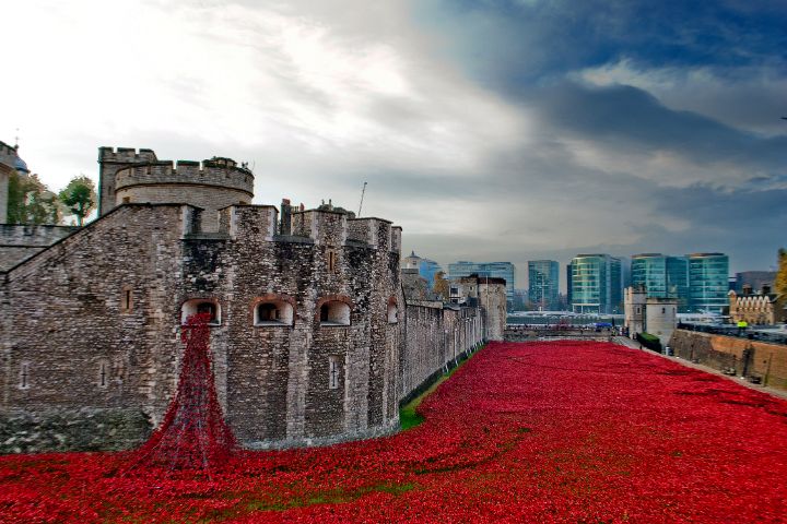 Tower Of London Poppies Red Poppy - Andy Evans Photos - Photography ...