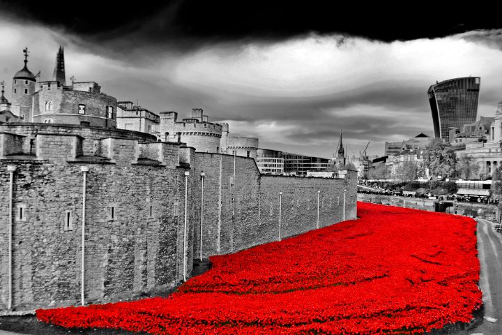 Tower Of London Poppies Red Poppy - Andy Evans Photos - Photography ...