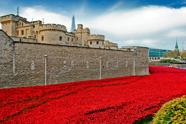 Tower Of London Poppies Red Poppy - Andy Evans Photos - Photography ...
