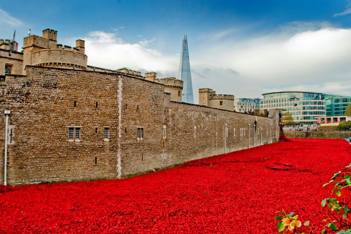Tower Of London Poppies Red Poppy - Andy Evans Photos - Photography ...