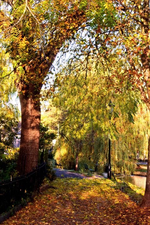 Bourton on the Water Autumn Trees - Andy Evans Photos - Photography, Flowers, Plants, & Trees ...