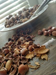 CCBloom - Photography