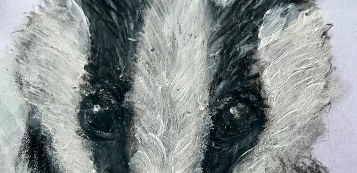 The Badgers Eyes - Mini Mia Art - Paintings & Prints, Animals, Birds ...