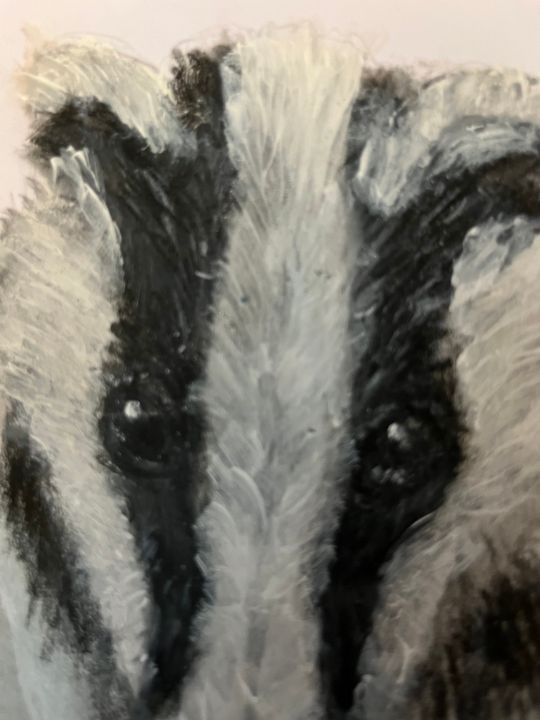 Badgers eyes - Mini Mia Art - Paintings & Prints, Animals, Birds ...