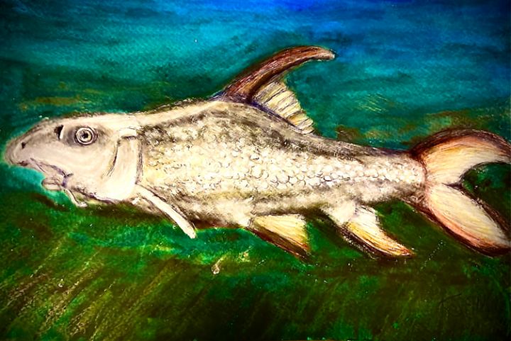Barbel Fish - Mini Mia Art - Paintings & Prints, Animals, Birds, & Fish ...
