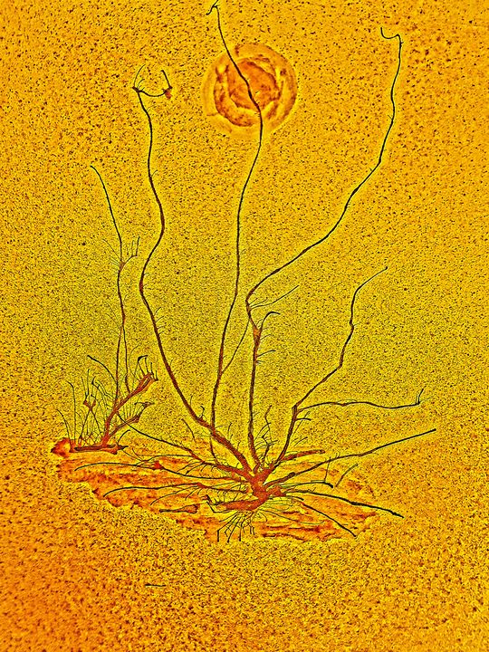 Yet We Rise - CHIEF GIFT KOFI AMU - LOGOTSE @TAAC - Paintings & Prints ...