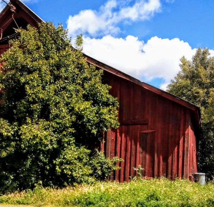 Historic Red Barn: Calistoga,CA - Lisa R. Veneziano / Digital Farmworx ...