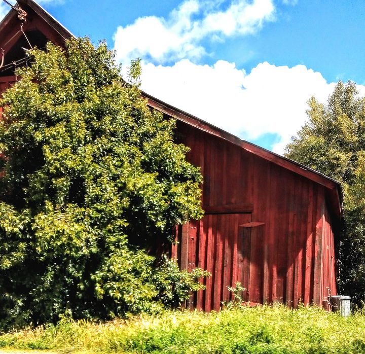 Calistoga: Historic Red Barn - Lisa R. Veneziano / Digital Farmworx ...