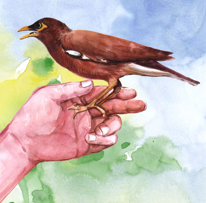 Subhash Chandra Nath - Paintings & Prints