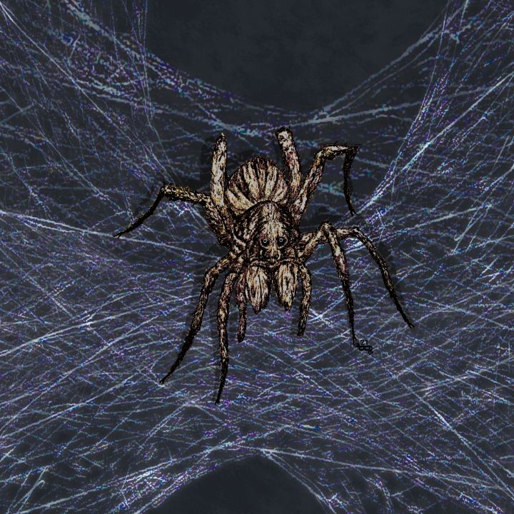 Buy Arachnids, Bugs & Insects, Animals, Birds, & Fish, Drawings ...