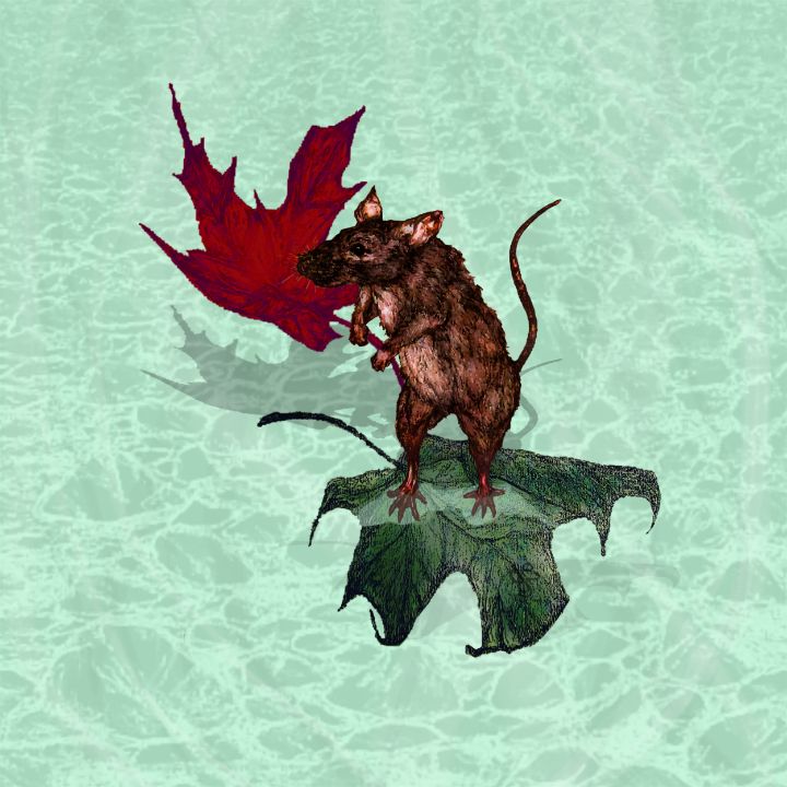 River Rat Riding on a Leaf - Gerard Dourado’s Watercolours and Sketches ...