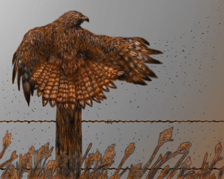 Red Tailed Hawk Swaying in the Wind - Gerard Dourado’s Watercolours and ...