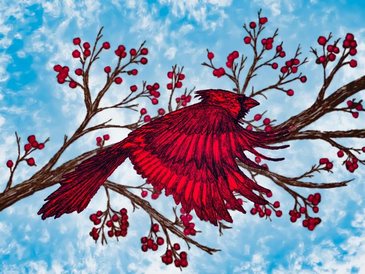 The Cardinal - Gerard Dourado’s Watercolours and Sketches - Drawings ...