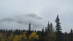 Lake Louise in the fog - Dog Traynor - Photography, Landscapes & Nature ...