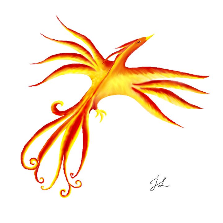 Phoenix Rising (Light) - The Masked Queen - Drawings & Illustration ...