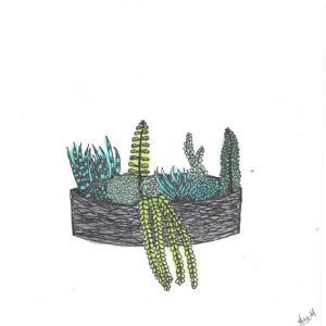sarracene - Annabeth Hopper - Drawings & Illustration, Flowers, Plants ...