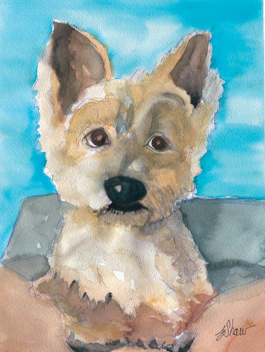 TOBY - Prints of Original paintings by Jo Shaw - Paintings & Prints ...