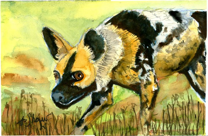 AFRICAN WILD DOG - Prints of Original paintings by Jo Shaw - Paintings ...
