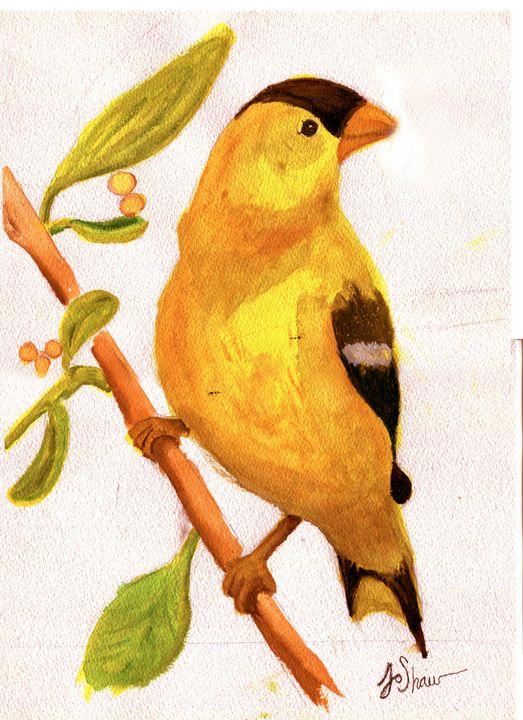 YELLOW FINCH - Prints of Original paintings by Jo Shaw - Paintings ...
