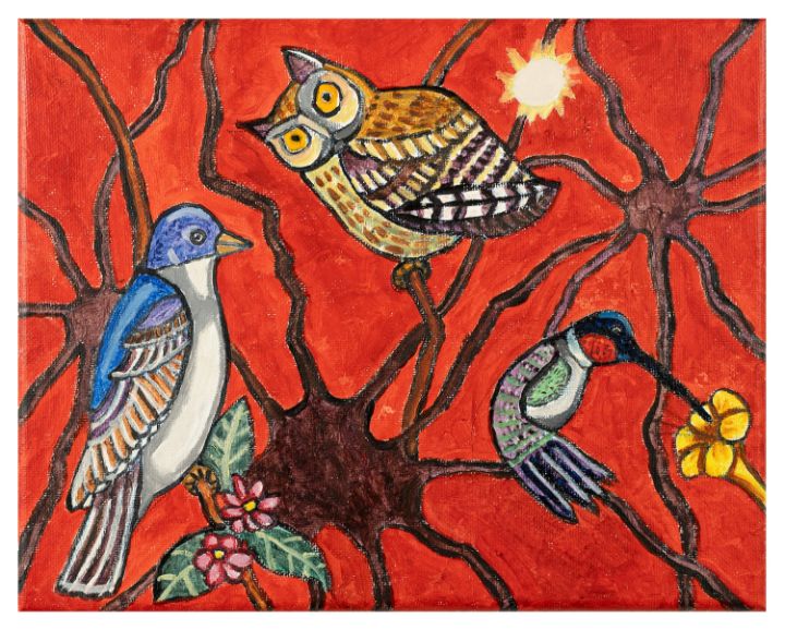 Jane Zweibel - Paintings & Prints