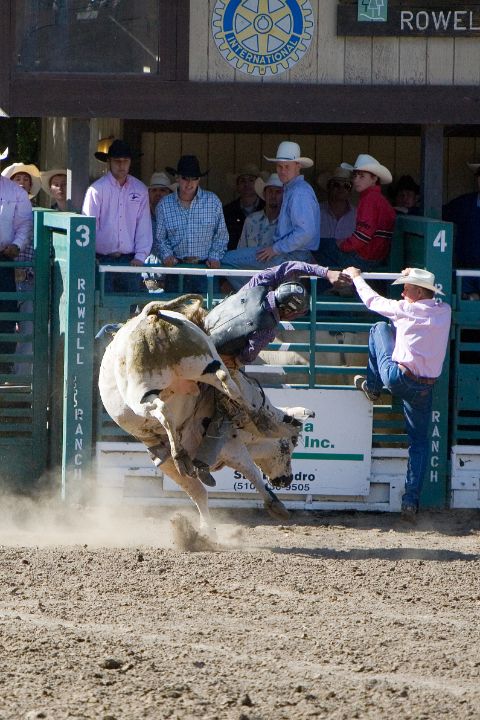 Rodeo 2007-01 - Gelfer's Art - Photography, Sports & Hobbies, Other ...