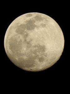 Moon Pie - TammyDixonPhotography - Photography, Astronomy & Space, Moon ...