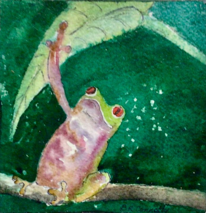 Barbara Connolly - Paintings & Prints