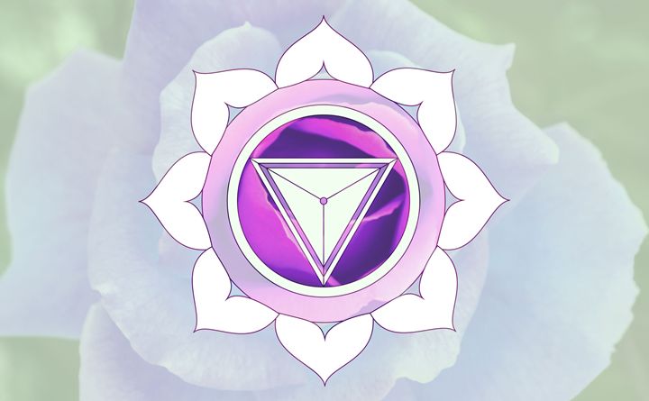 Purple Flower Power - Empty Cup Gallery - Digital Art & AI, Religion ...
