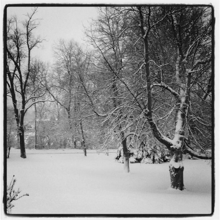 Michigan Winter - Photography - Photography, Landscapes & Nature ...