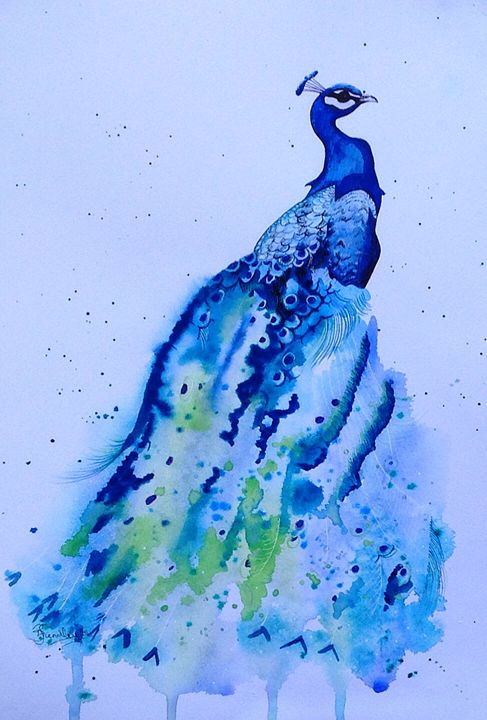 Glorious Peacock - Beverly Fiendley Art - Paintings & Prints, Animals ...