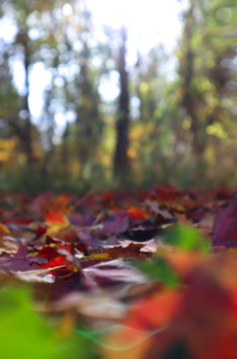 Mahdokht - Photography