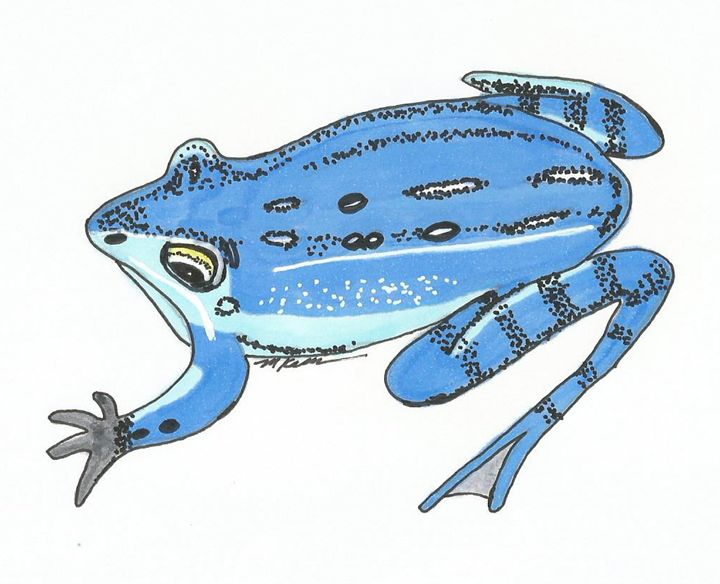Blue Frog - MK Nature Design - Drawings & Illustration, Animals, Birds ...