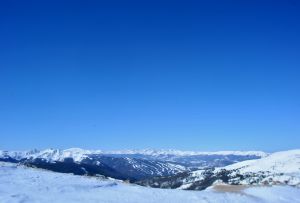 John Statz - Paintings & Prints, Photography