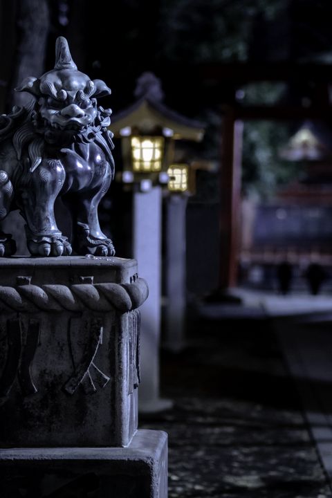 J. Valencia Photography - Paintings & Prints