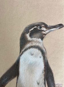 Earley Art - Drawings & Illustration